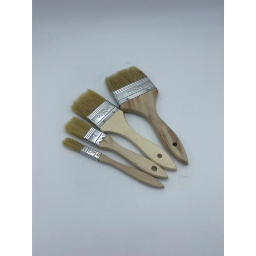 Disposable Paint Brush